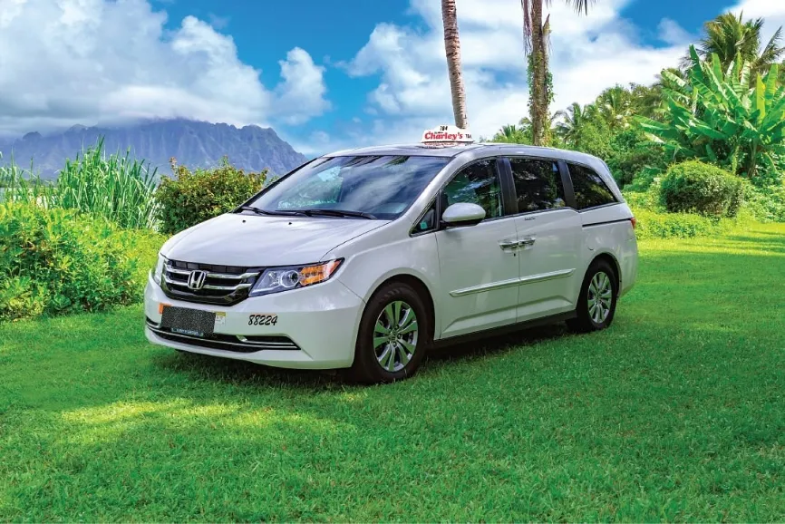 Big Island Of Hawaii Visitors Guide for 2025 | Island Life Hawaii