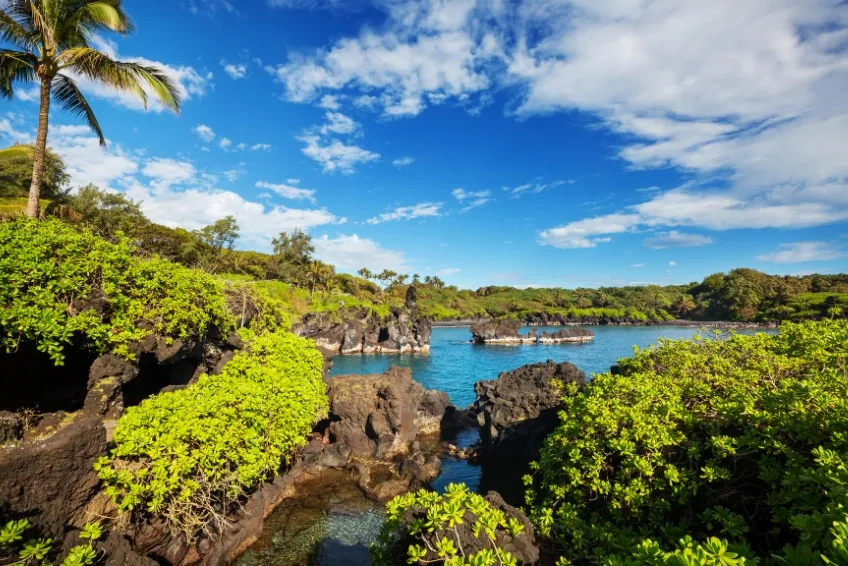 Maui Visitors Guide for 2025 | Things To Do, Maps & More!