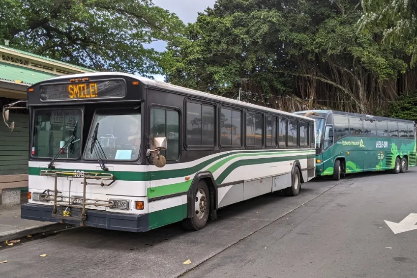 Big Island Of Hawaii Visitors Guide for 2025 | Island Life Hawaii