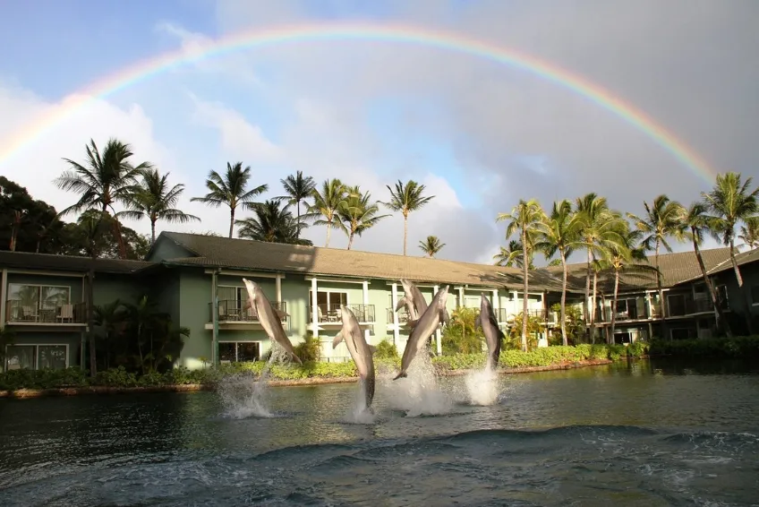 11 Best Honolulu All Inclusive Resorts for 2025 | Island Life Hawaii
