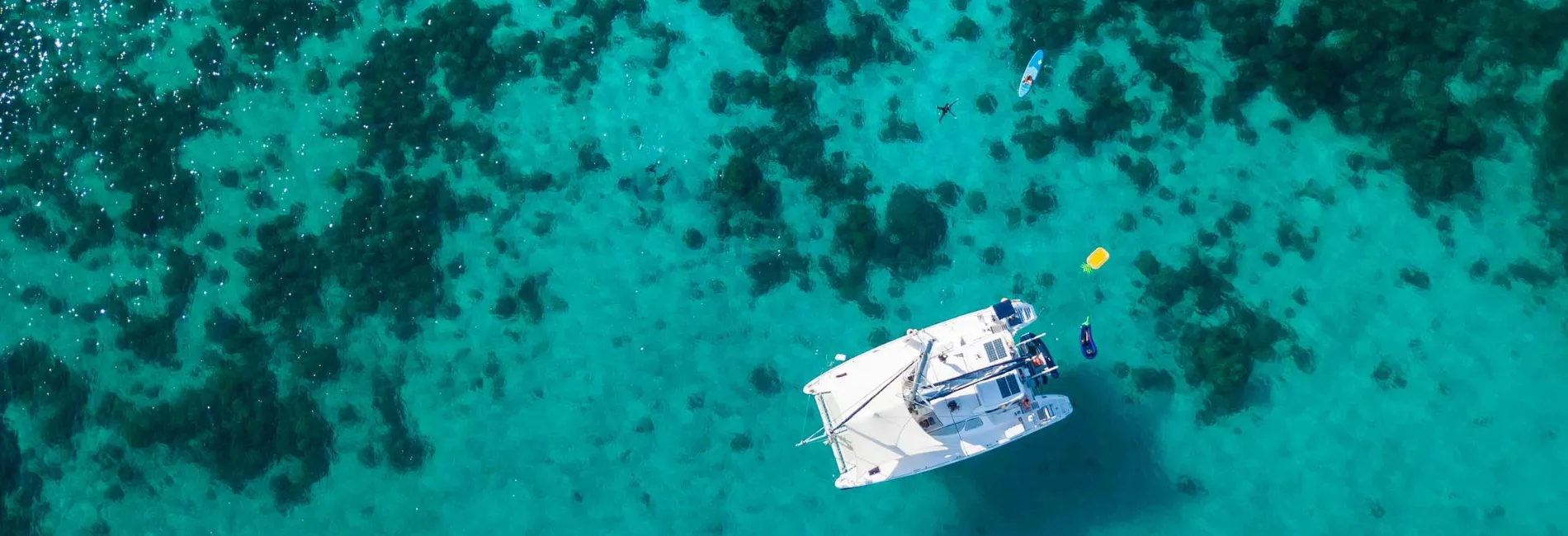 Maui Snorkeling Guide for November 2025 | Island Life Hawaii