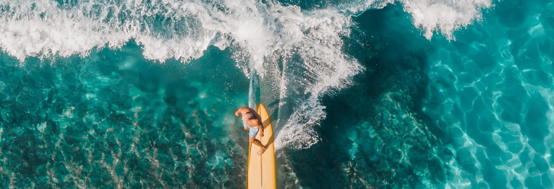 Honolulu Visitors Guide for 2025 | Island Life Hawaii