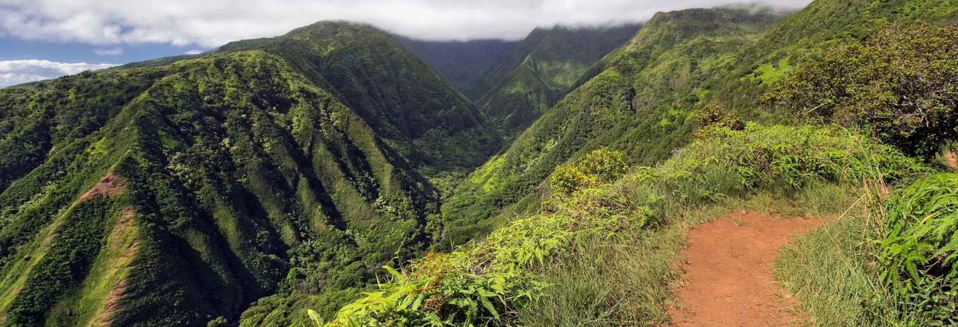 Lanai Visitors Guide for 2025 | Island Life Hawaii