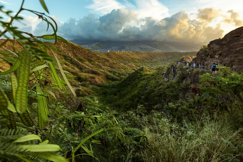 Honolulu Visitors Guide for 2025 | Island Life Hawaii