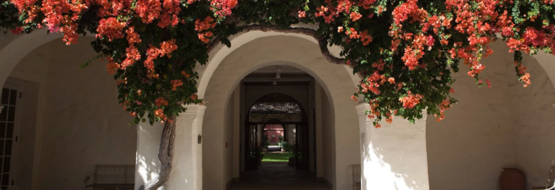 Honolulu Visitors Guide for 2025 | Island Life Hawaii