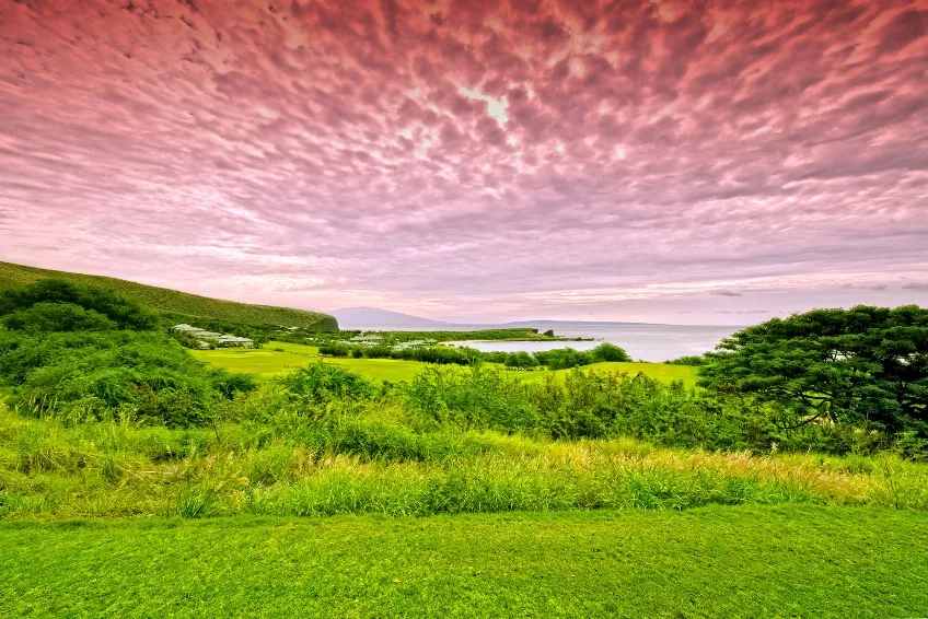 7 Best Kauai Luaus in October 2025 | Island Life Hawaii