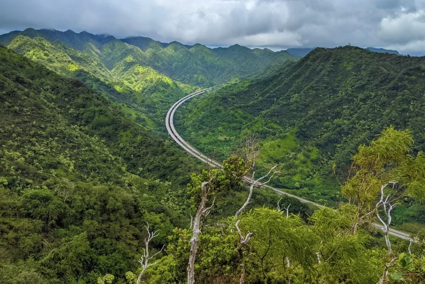 8 Best Oahu Hikes & Trails in 2025 | Island Life Hawaii