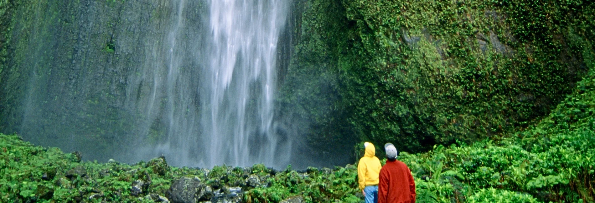 MAUI WATERFALL GUIDE 2025 | 7 Best Maui Waterfalls To Visit