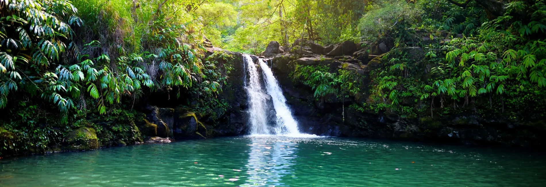 Maui Waterfalls Guide 2025 | 7 Best Maui Waterfalls To Visit