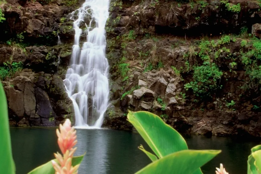 6 Best Oahu Waterfalls To Explore In 2025 | Island Life Hawaii
