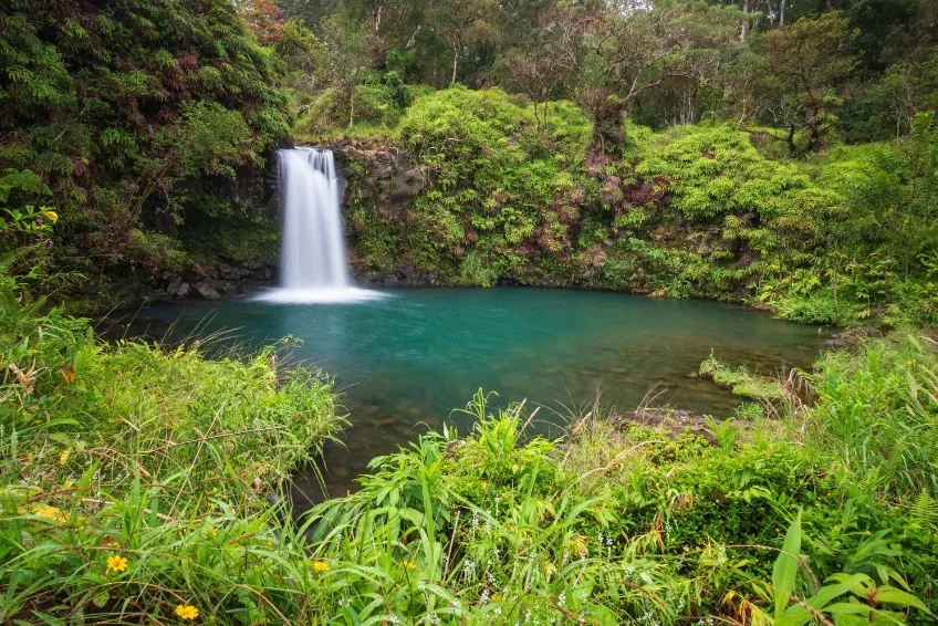 Road To Hana Visitors Guide for 2025 | Island Life Hawaii