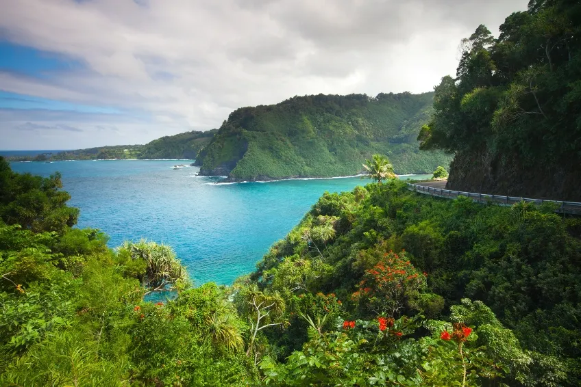 10 Best Maui Beaches For October 2025 | Island Life Hawaii