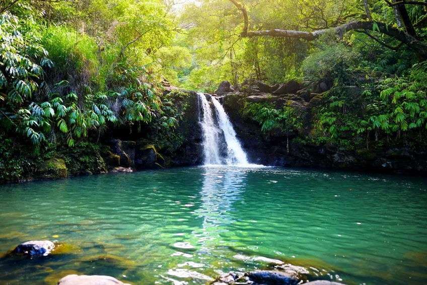 Maui Waterfalls Guide 2025 | 7 Best Maui Waterfalls To Visit