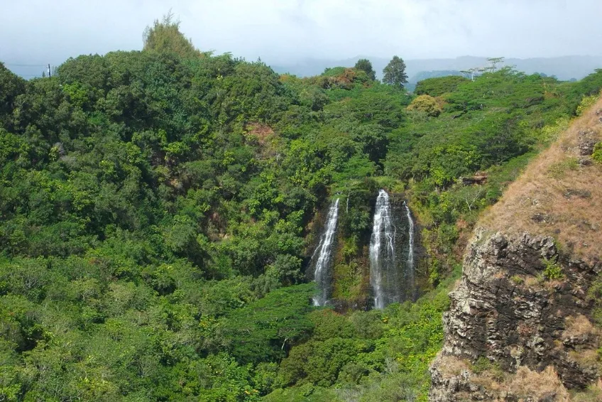 6 Best Oahu Waterfalls To Explore In 2025 | Island Life Hawaii