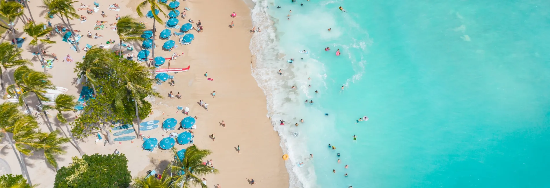 12 Best Oahu Beaches In February 2025 | Island Life Hawaii