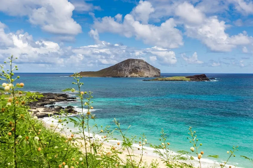 12 Best Oahu Beaches In October 2025 | Island Life Hawaii
